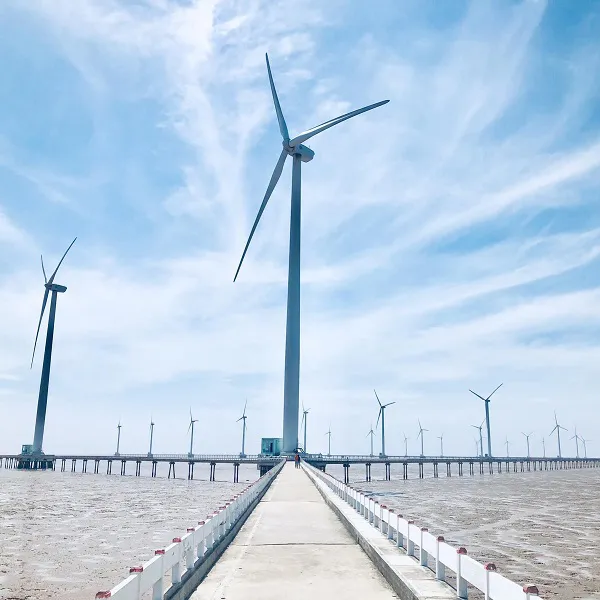 Tour Du Lịch Cần Thơ - Cà Mau - Đất Mũi 2 Ngày 1 Đêm