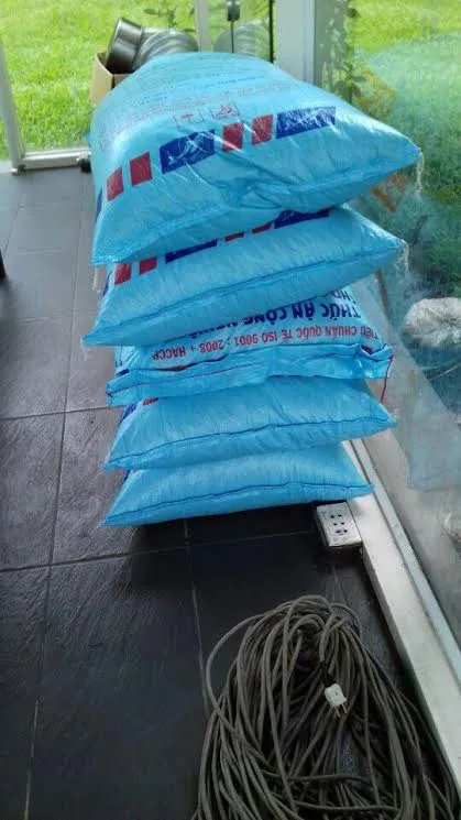 Ý nghĩa và cách thức hoạt động của Golden Fish