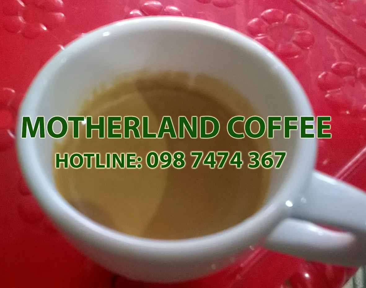 NÊN CHỌN CÀ PHÊ RANG MỘC HAY CAFE RANG BƠ ĐỂ BÁN