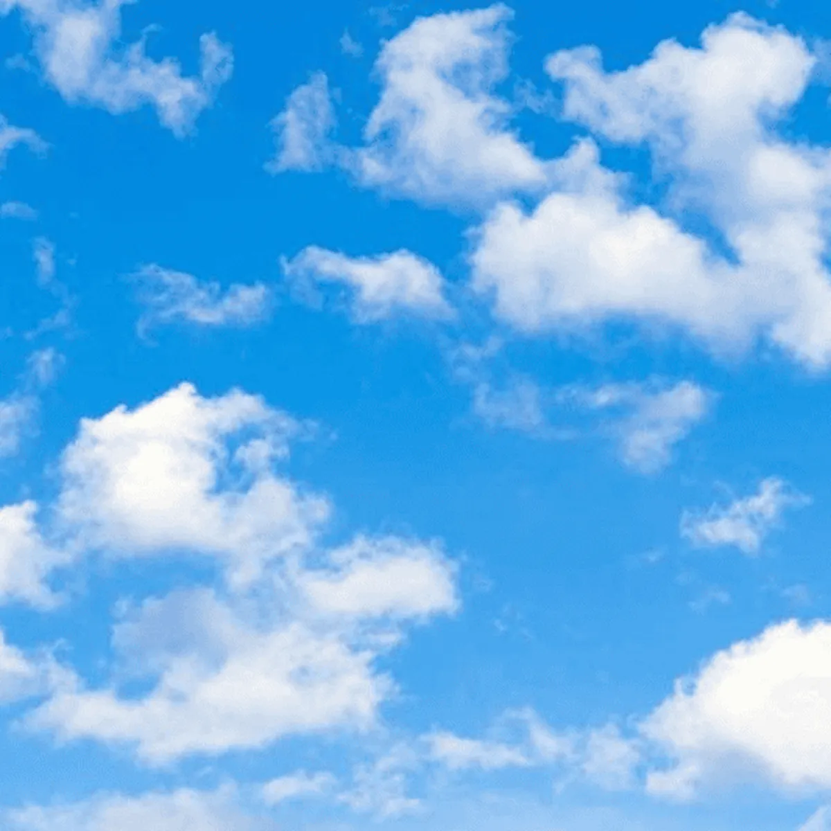 199+ Mẫu Tranh Dán Tường Texture Chất Liệu Cao Cấp, Đẹp, Hiện Đại