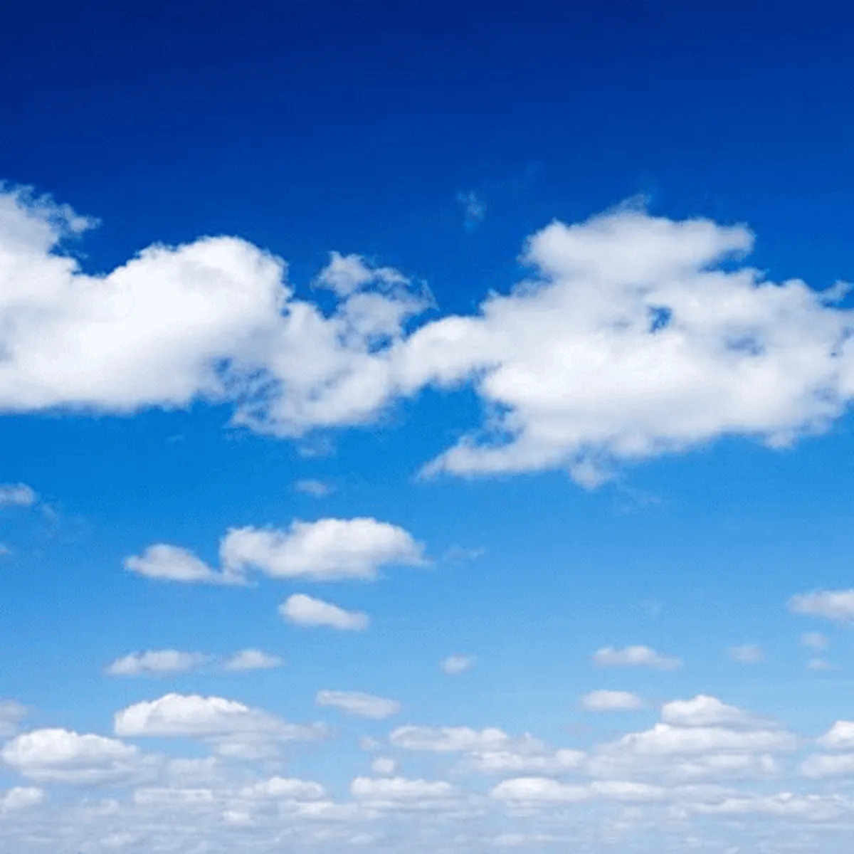 199+ Mẫu Tranh Dán Tường Texture Chất Liệu Cao Cấp, Đẹp, Hiện Đại