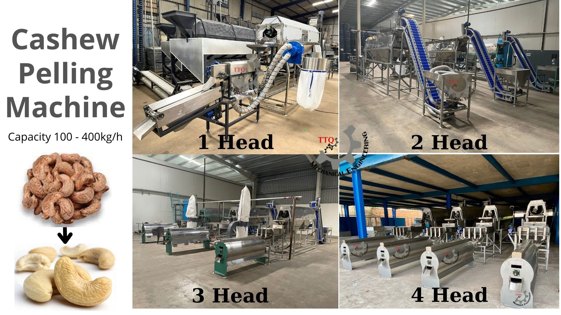 Cashew Nut Peeling Machine | TTQ Vietnam Manufacturer