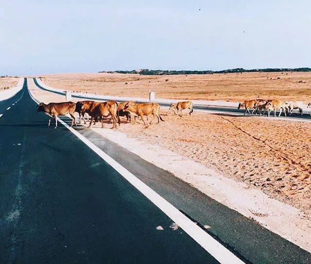 MUI NE TRAVEL BLOG - MUI NE SAND DUNES HOW TO GET THERE?