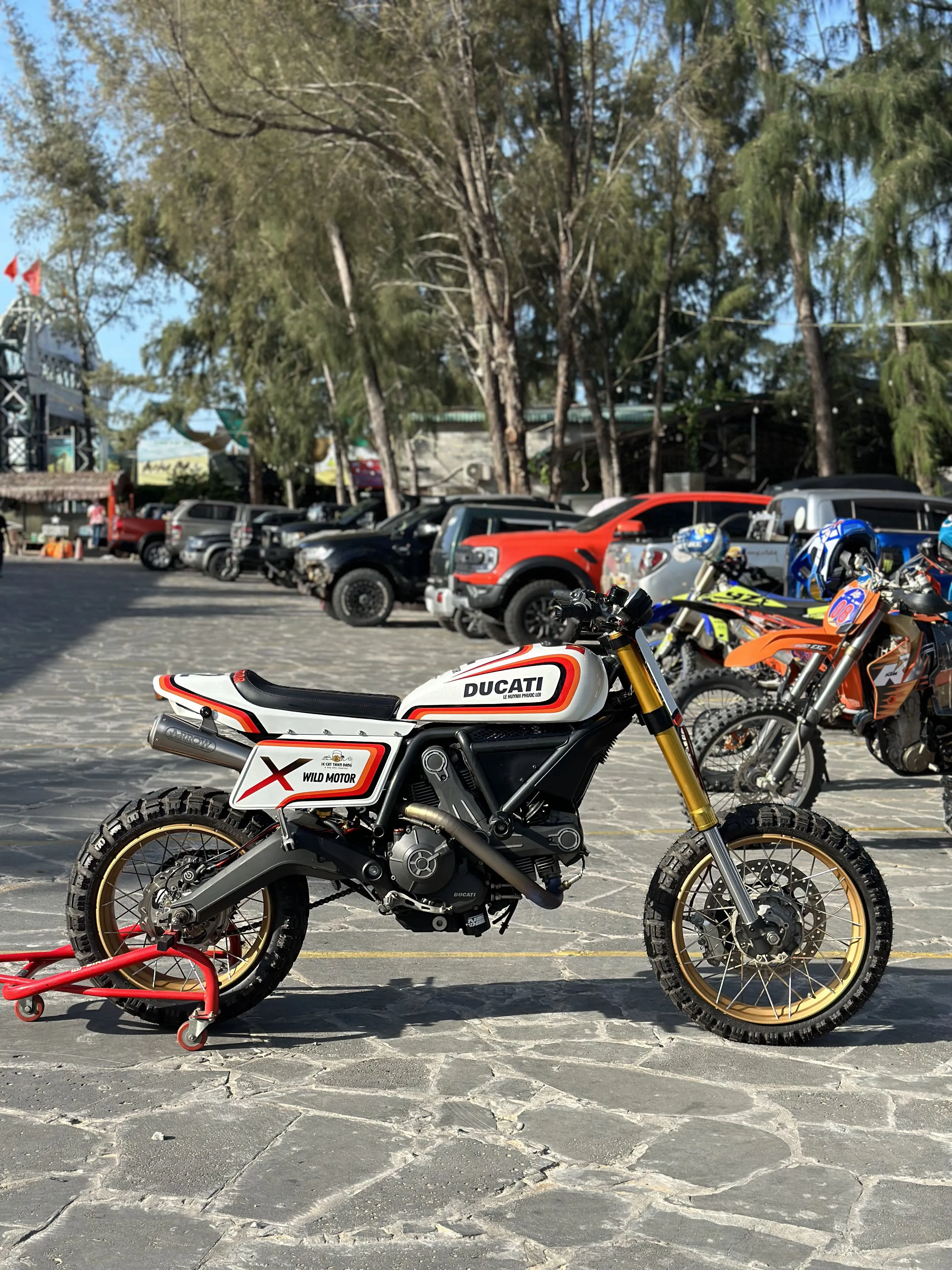 Impressive Ducati Scrambler Dirt Track Build by WildMotor Cusotm at HTV ...