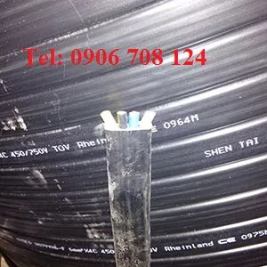 Cáp dẹp cầu trục 4C x4mm