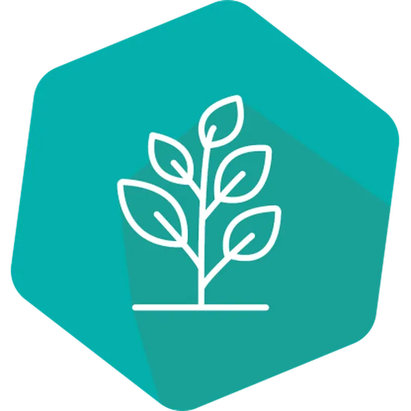 Kits GMOs (Lateral Flow Test Strip)
