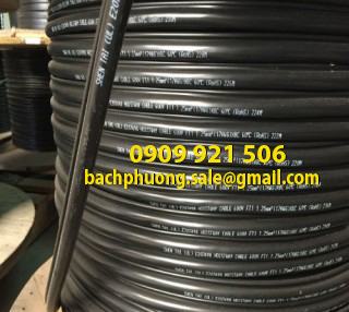 Cáp điều khiển Shen tai