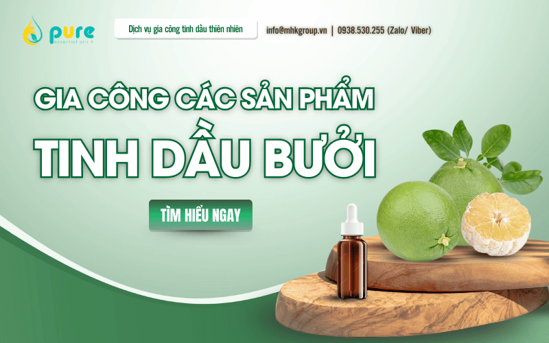 Gia Công Tinh Dầu Bưởi Sạch Tiêu Chuẩn FDA & ISO | PURE Global