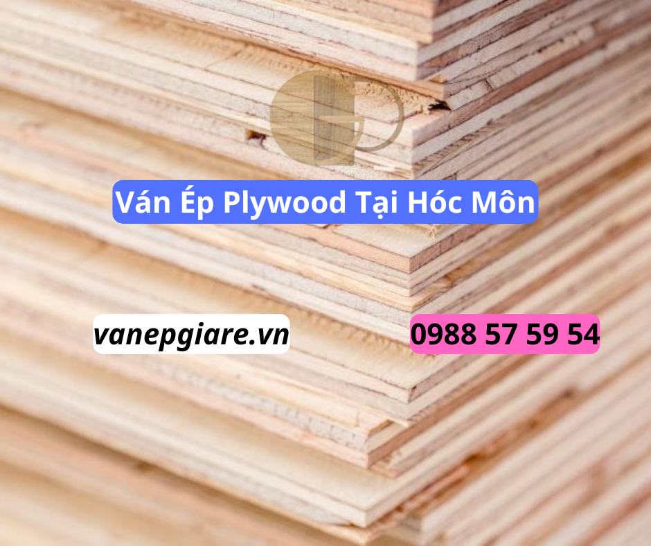Ván Ép Plywood Tại Hóc Môn