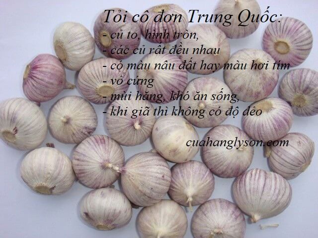 Cách phân biệt tỏi cô đơn Lý Sơn với tỏi Trung Quốc, tỏi nhái