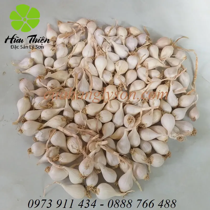 Tỏi cô đơn Lý Sơn 500gr