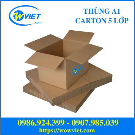 THÙNG CARTON THƯỜNG
