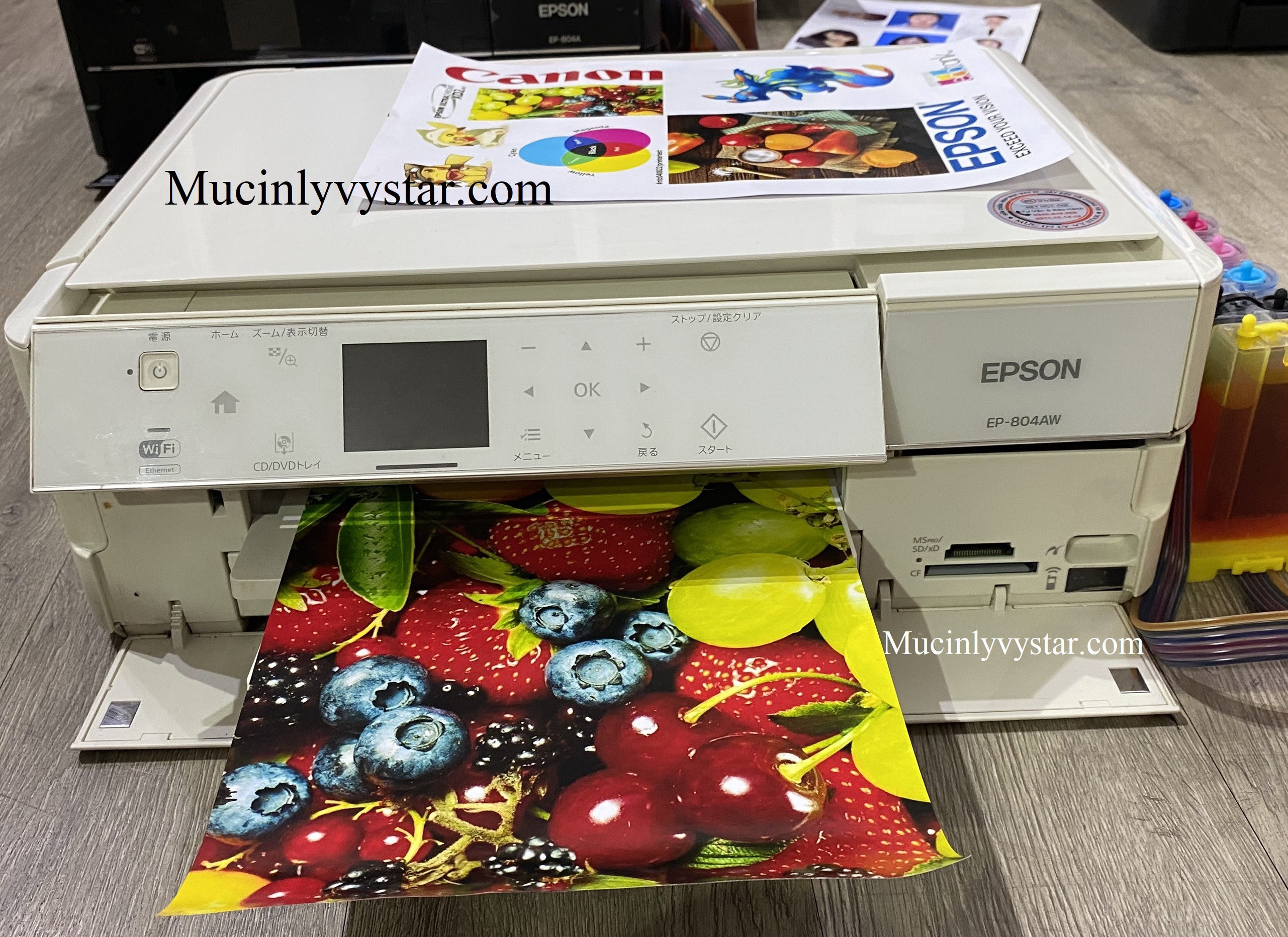 Đánh giá máy in Epson 804A