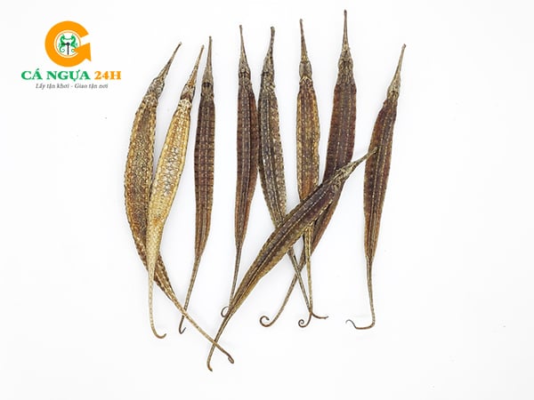 Hải Long Tươi, Khô Ngâm Rượu Chất Lượng | Cường Dương Bổ Thận