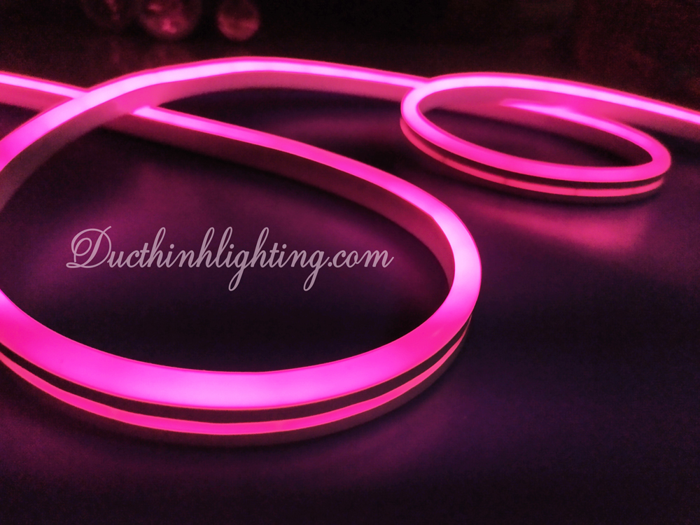 Day den led neon sign hong 5m