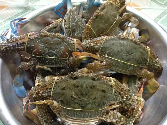 Cách chọn cua, ghẹ tươi ngon