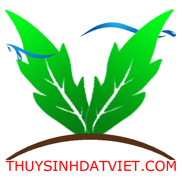 Gioi thieu thuy sinh dat viet