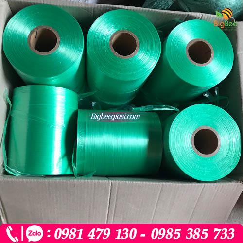 Dây nilon buộc bằng máy giá gốc tại xưởng