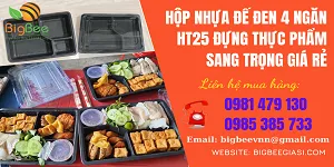 Khay 4 ngăn HT25 đựng thực phẩm, cơm phần sang trọng giá rẻ