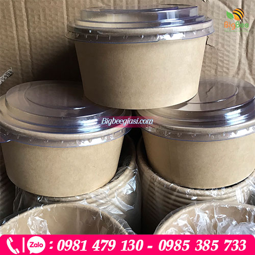 Tô giấy đủ kích thước có nắp đựng thức ăn