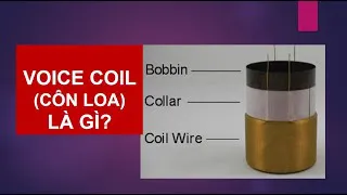 COIL LOA LÀ GÌ? CÁCH THAY ĐỔI COIL LOA ĐƠN GIẢN