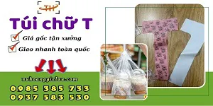 Chuyên bán sỉ túi chữ T giá tốt ở TPHCM