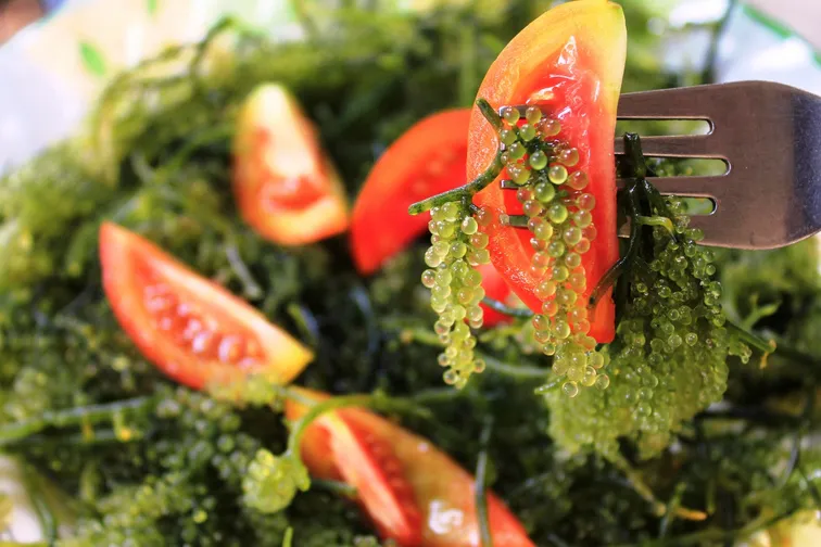 Rong nho rất tốt cho sức khỏe