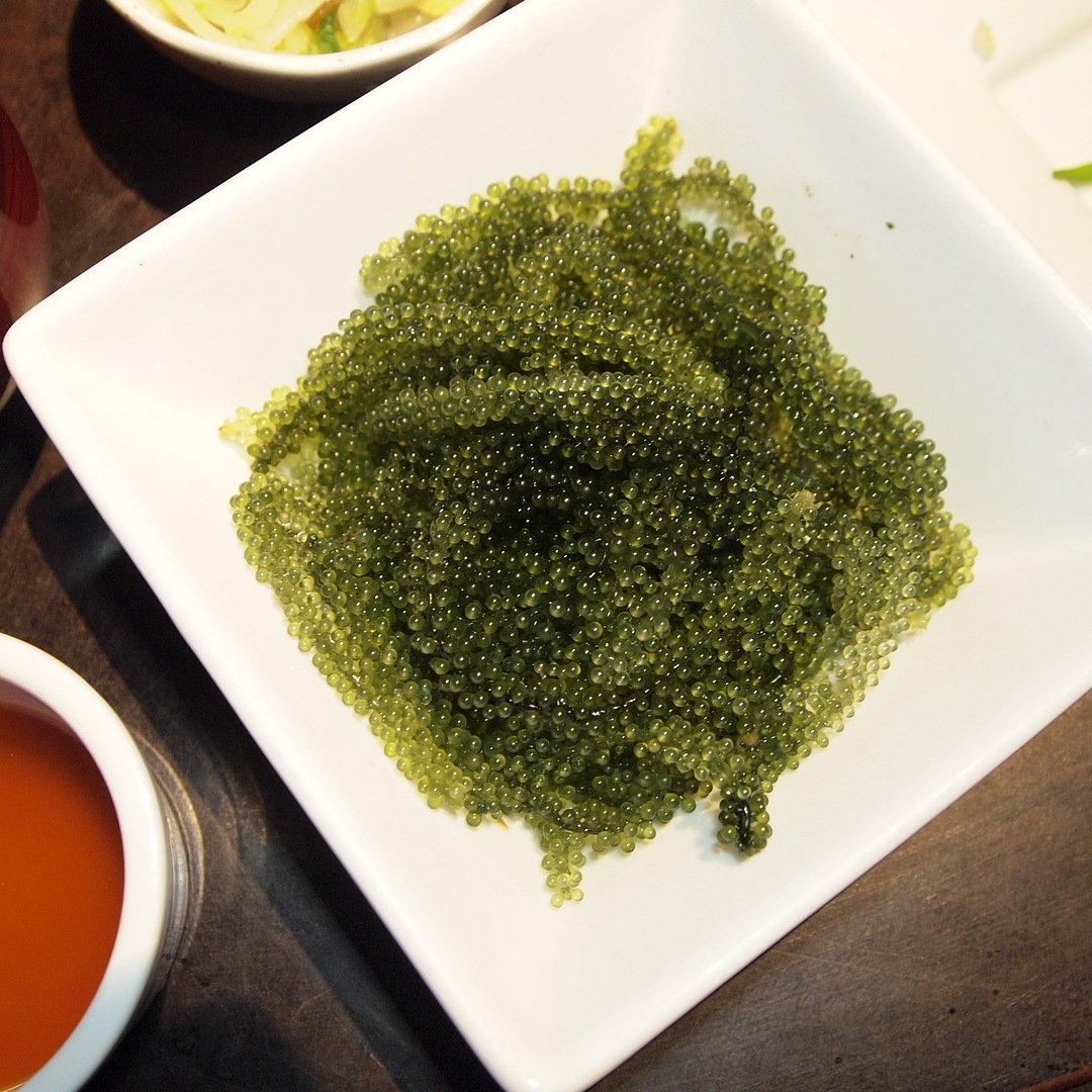 8 reasons you should eat sea grape seaweed regularly