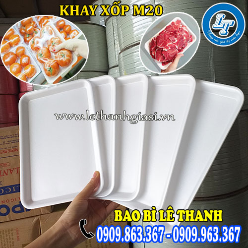 KHAY XỐP M20 ĐỰNG THỰC PHẨM GIÁ SỈ RẺ NHẤT TPHCM