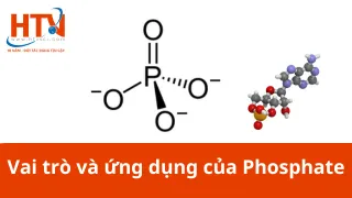 Vai trò và lợi ích của Phosphate trong hóa học, công nghiệp và nông nghiệp