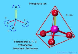 PHOTPHO TRONG NƯỚC VÀ PHƯƠNG PHÁP XÁC ĐỊNH PHOSPHATE TRONG NƯỚC BẰNG ...