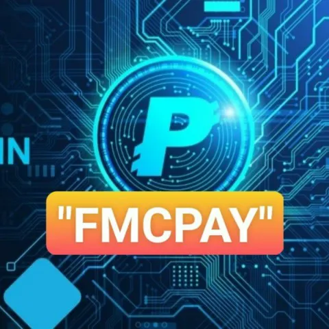 PAYNET COIN LÀ GÌ...?